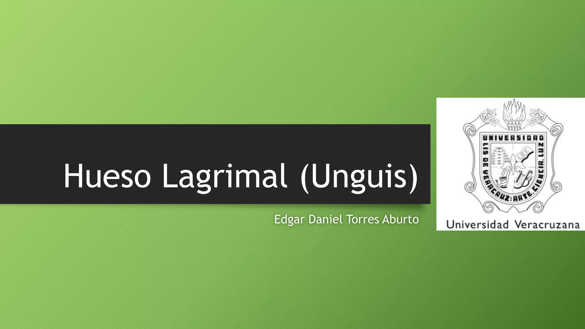 Hueso lagrimal (unguis) | PPTX