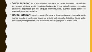 HUESO MANDIBULAR.pptx