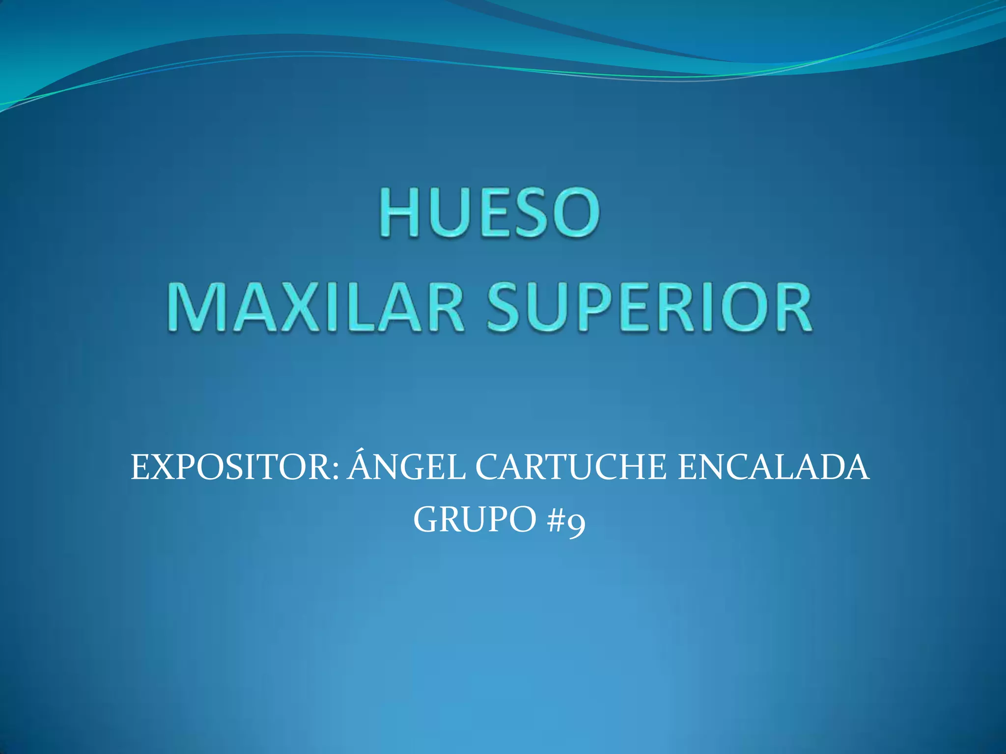 Hueso maxilar superior | PPTX