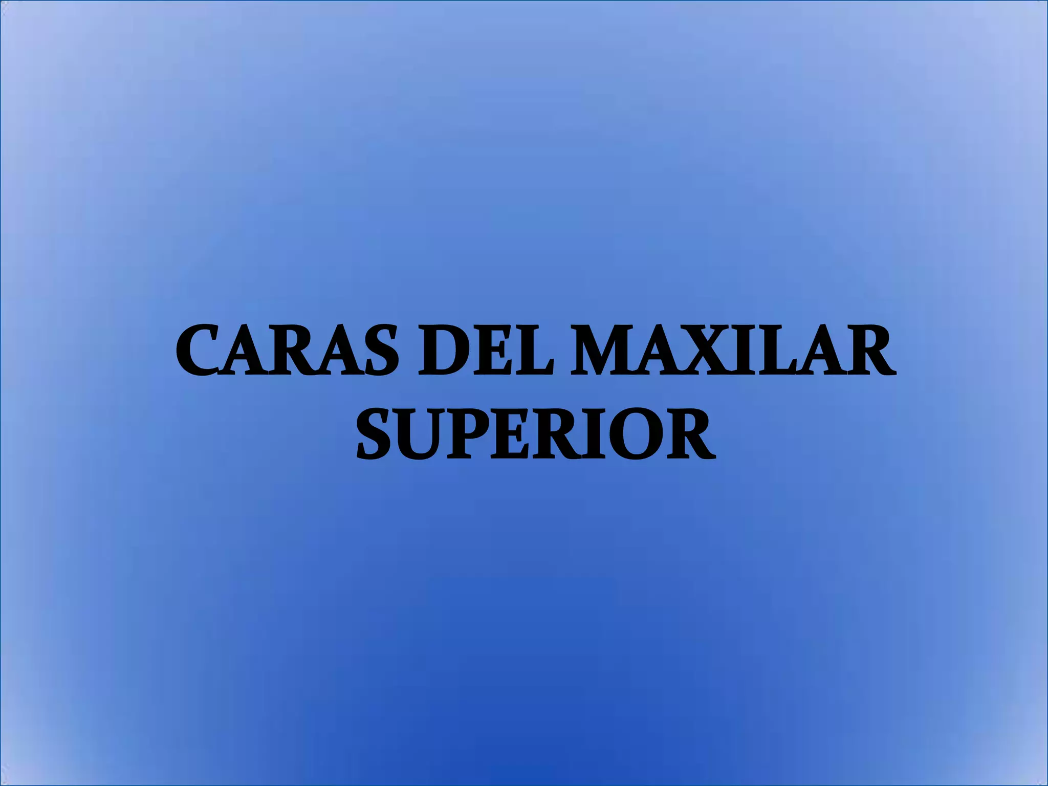 Hueso maxilar superior | PPTX | Ear, Nose and Throat Conditions ...