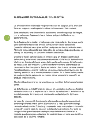 Hueso occipital | DOCX