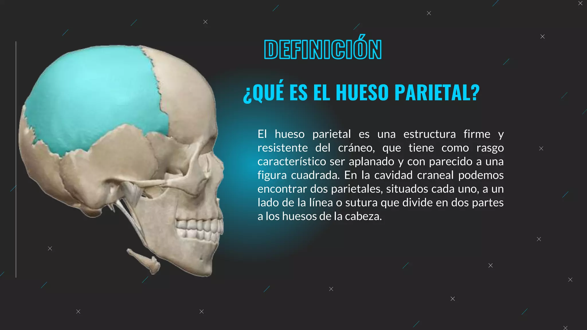 HUESO PARIETAL.pptx