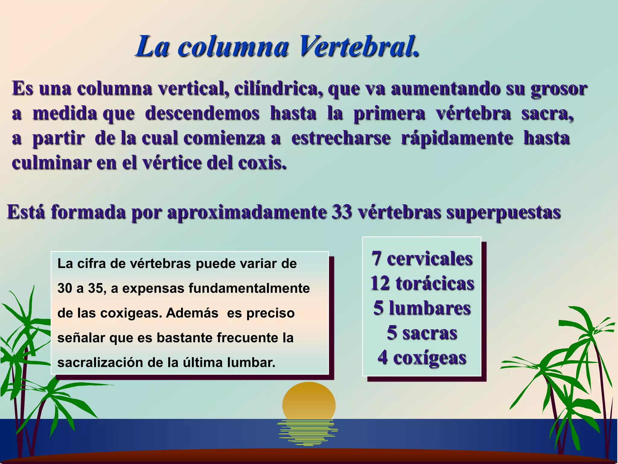 Huesos de la columna vertebral (1).ppt