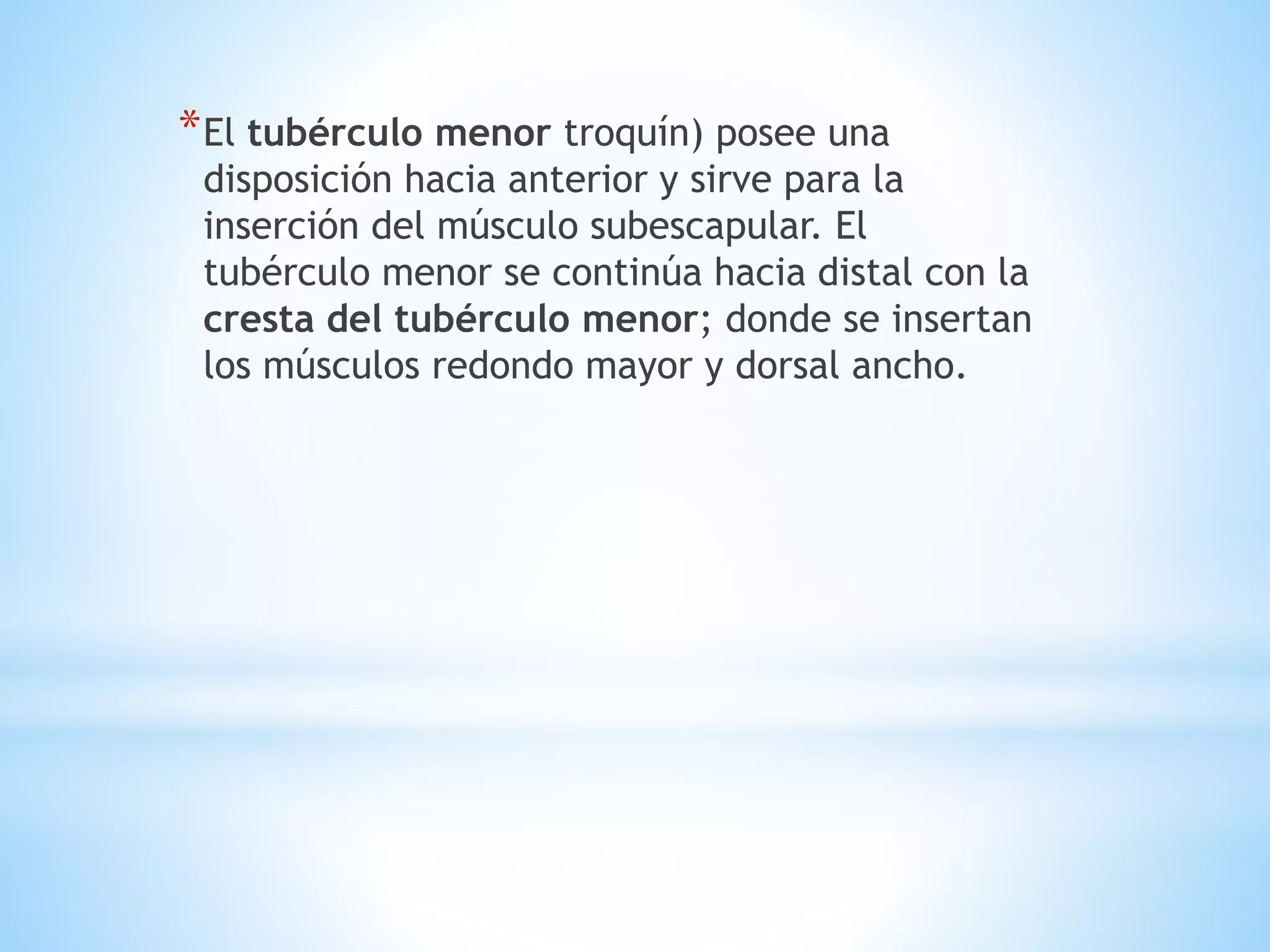 Huesos del miembro superior | PPTX