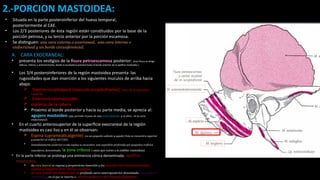 HUESOS PARIETAL Y TEMPORAL de la calota pptx | PPTX