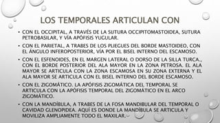 Hueso temporal | PPTX
