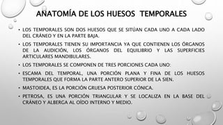 Hueso temporal | PPTX