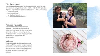 Hueso temporal.pdf