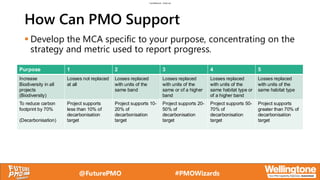 How PMOs Can Support With The Company's Mission and Purpose - Ed Raffle ...