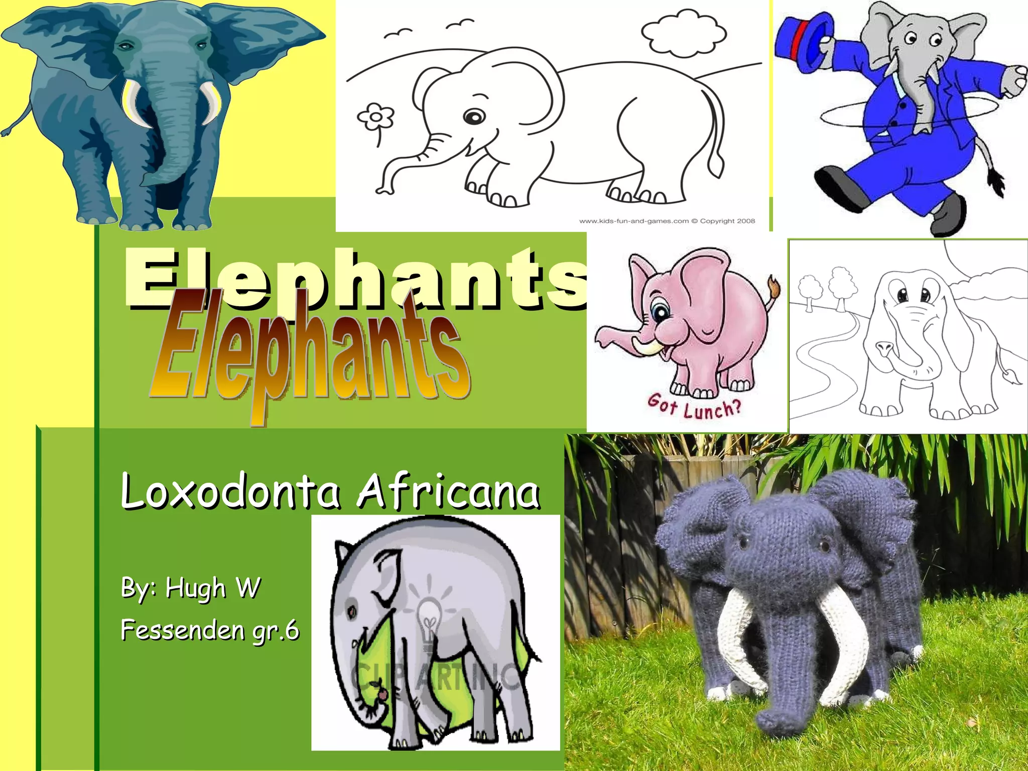 Hugh workman elephants | PPT