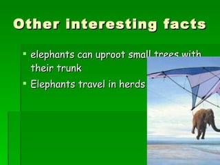 Hugh workman elephants | PPT