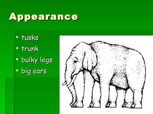 Hugh workman elephants | PPT