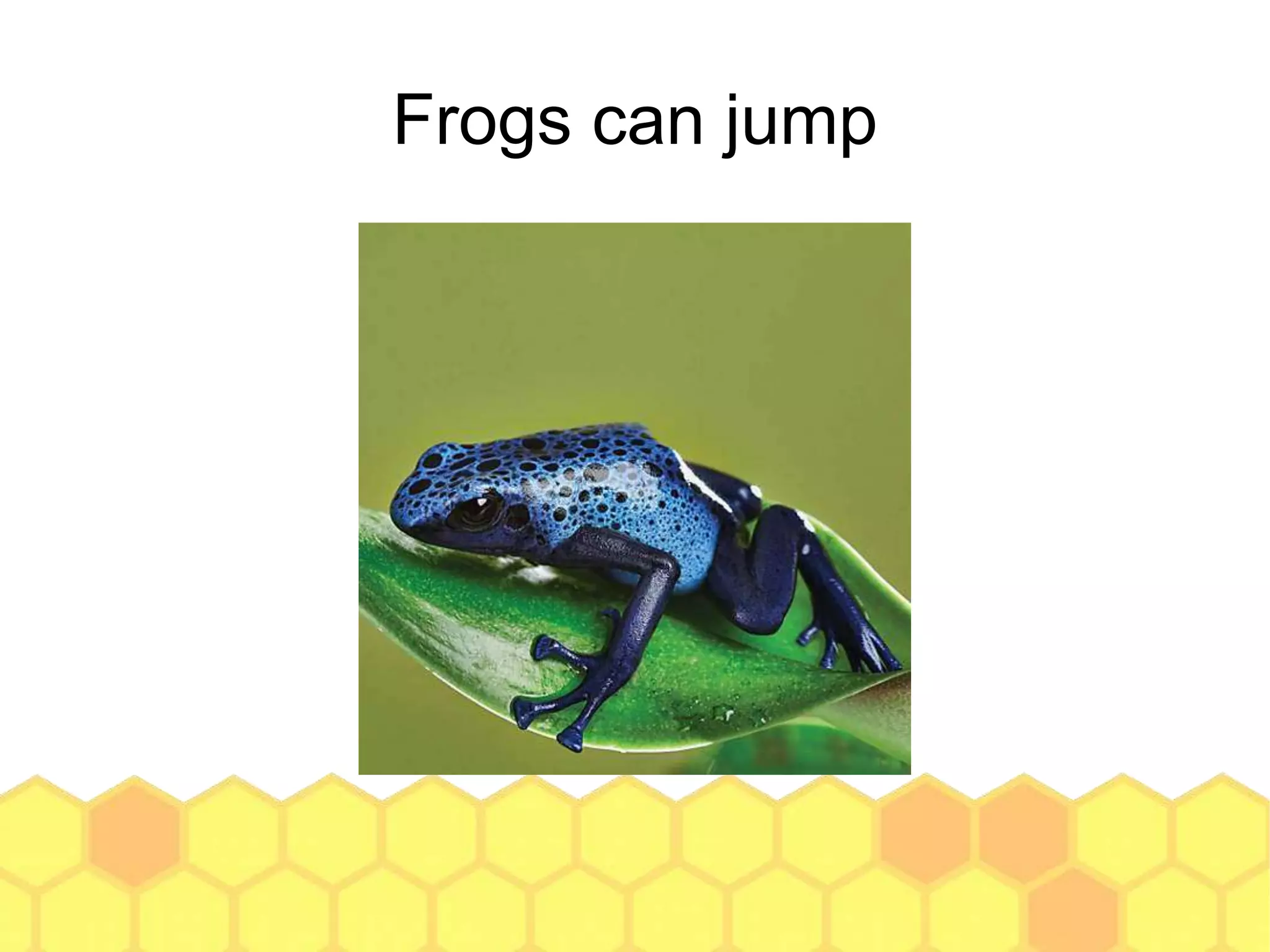 Hugo animals | PPT