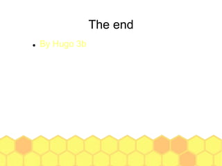 Hugo animals | PPTX