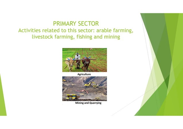 primary secondary and tertiary activities | PPT