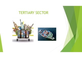 primary secondary and tertiary activities | PDF