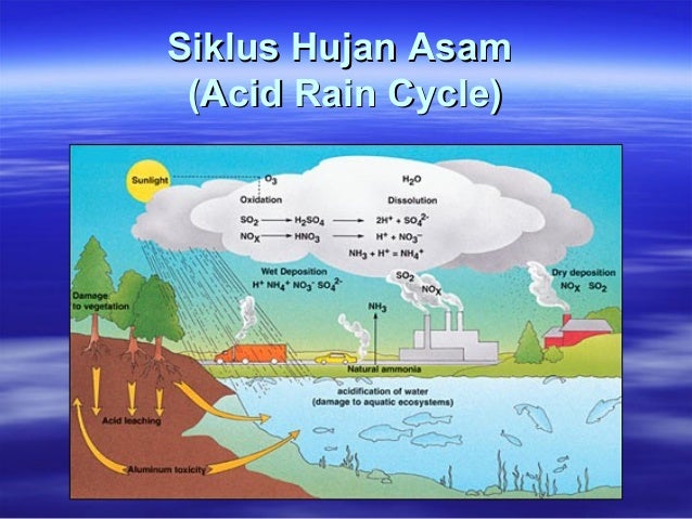 Gambar Pengertian Hujan Asam Proses Terjadinya Gambar Asap di Rebanas ... Gambar Pengertian Hujan Asam Proses Terjadinya Gambar Asap di Rebanas ...