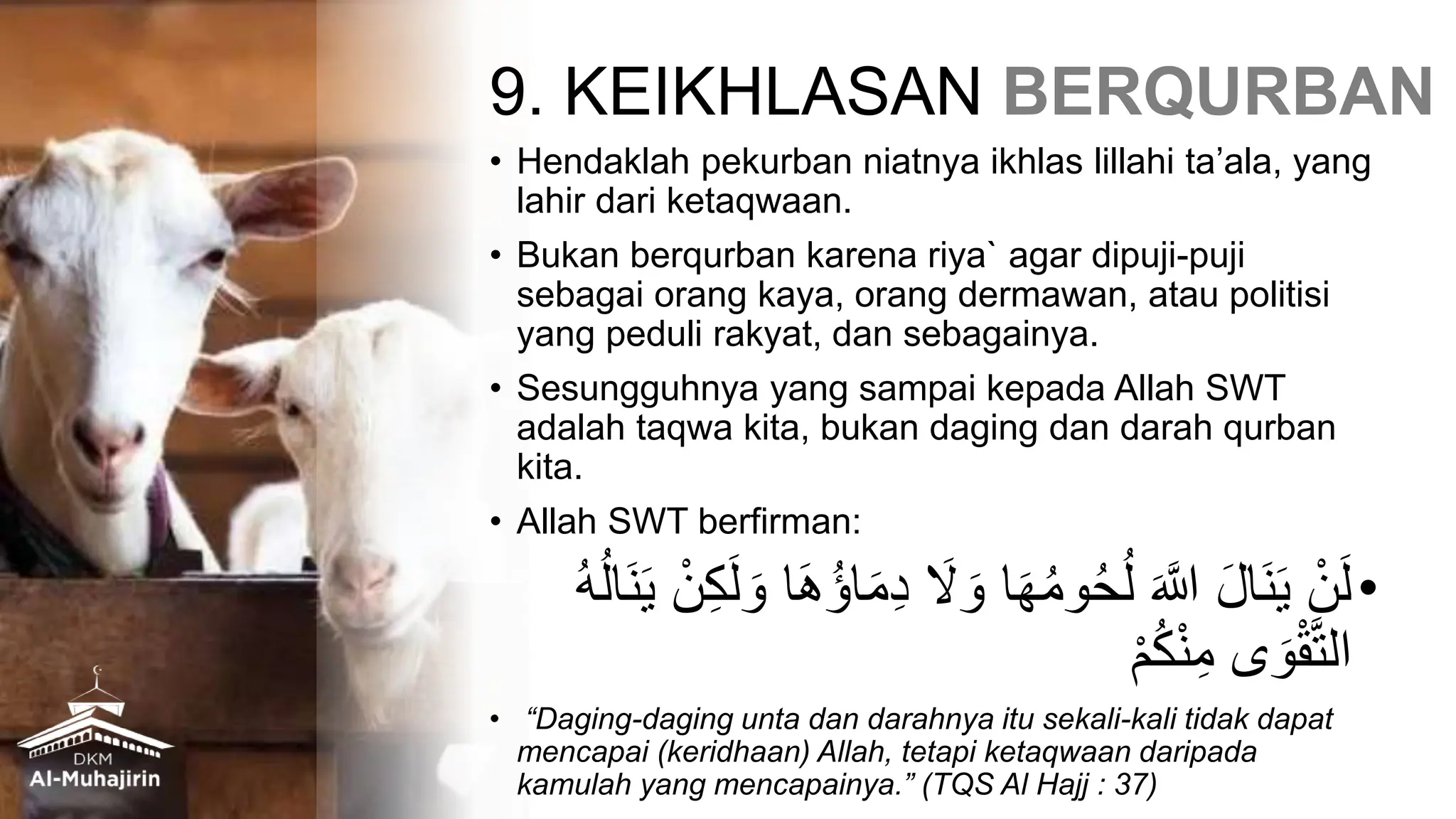 HUKUM-HUKUM SEPUTAR QURBAN DALAM PELAKSANAANNYA | PPTX