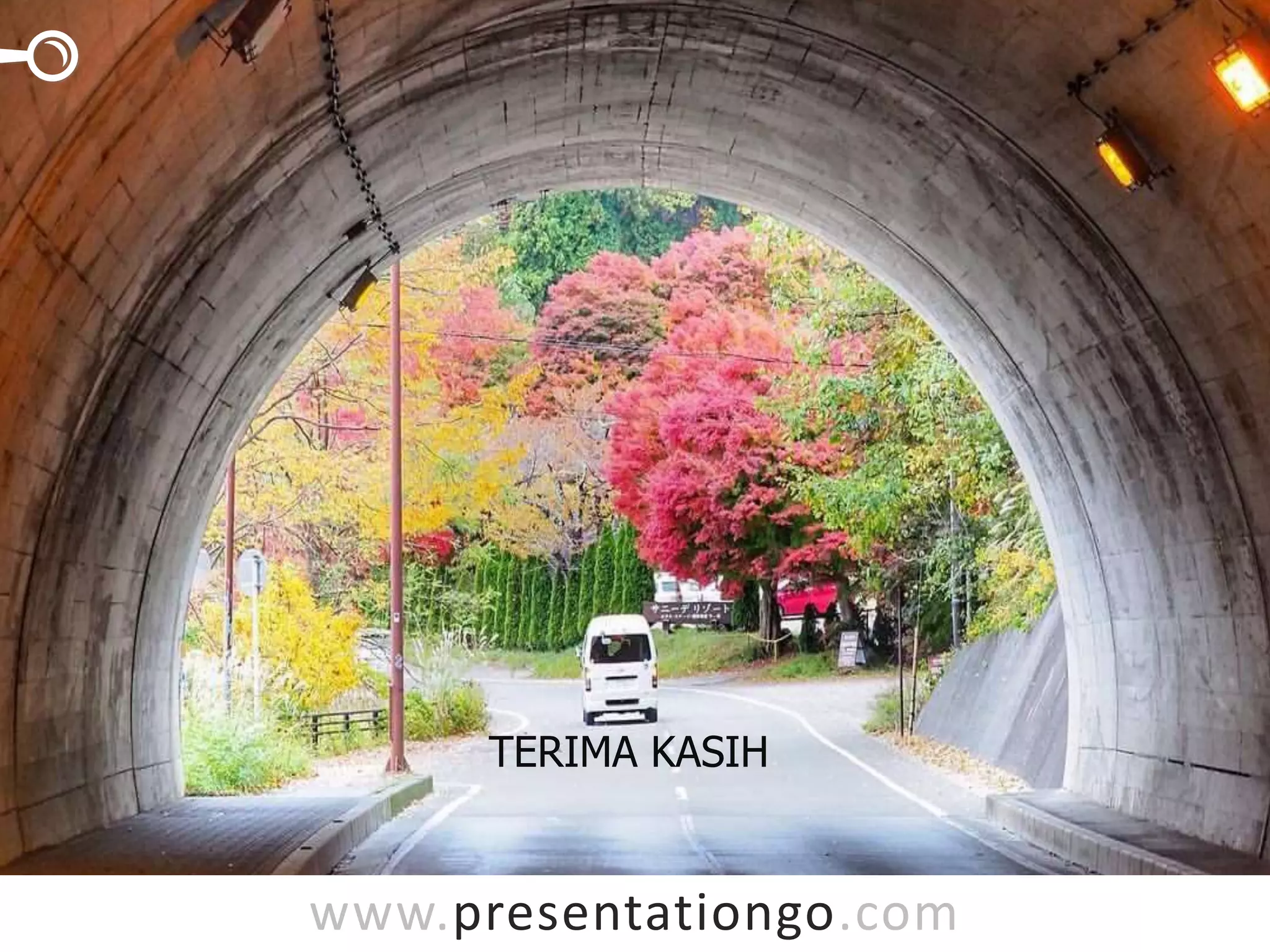 Kasus Rafat Ali Rizvi dalam Skandal Bank Century (Idik Saeful Bahri) | PPT