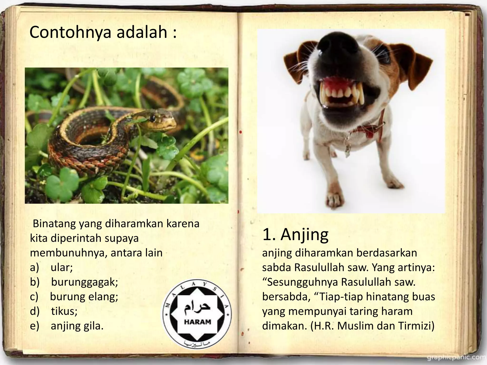 Hukum islam tentang jenis jenis hewan | PPTX