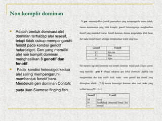 Hukum mendel | PPT