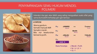 Hukum Mendel & Pola Pewarisan Sifat | PPTX