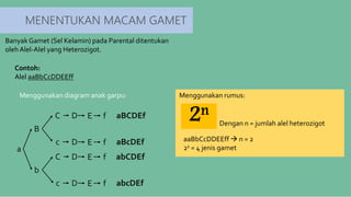 Hukum Mendel & Pola Pewarisan Sifat | PPTX