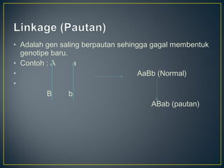 Hukum mendel dan pewarisan sifat | PPT
