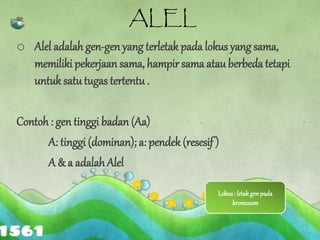 (Hukum mendel si) | PPTX
