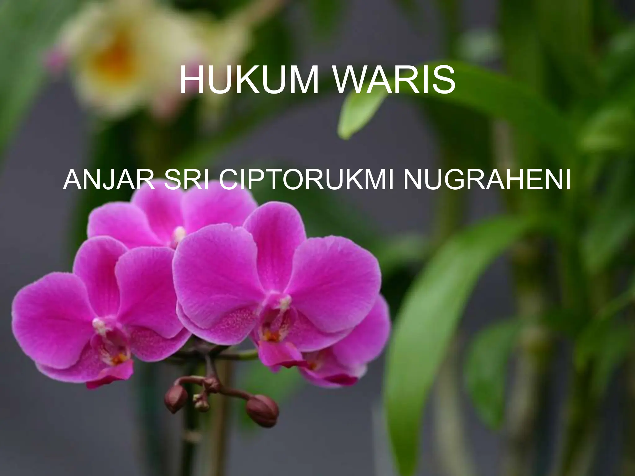 presentasi Hukum Waris dalam agama islam .ppt