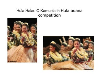 Hawaiian Hula Powerpoint | PPT