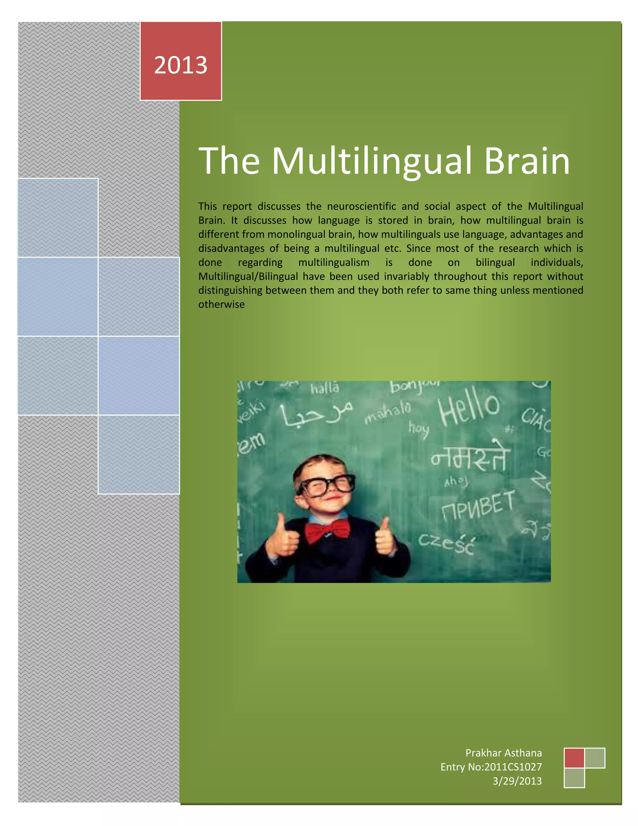 Multilingual brain | PDF