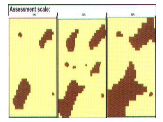 Hull inspection | PPTX