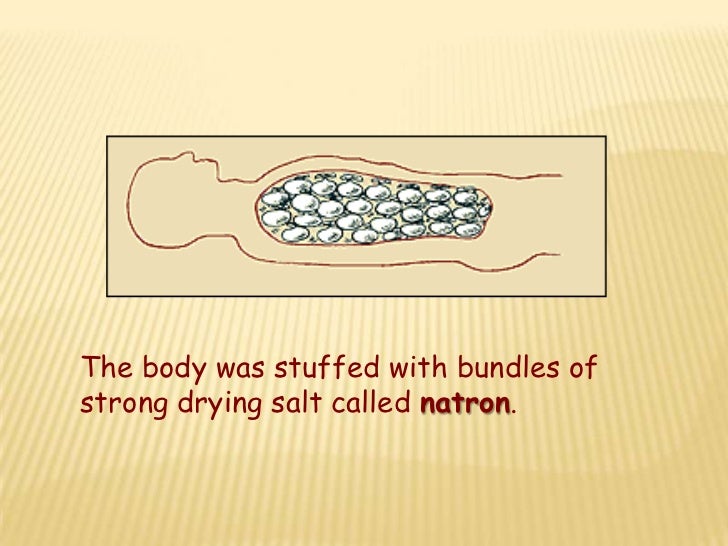 Hum2220 1330 egyptian mummification