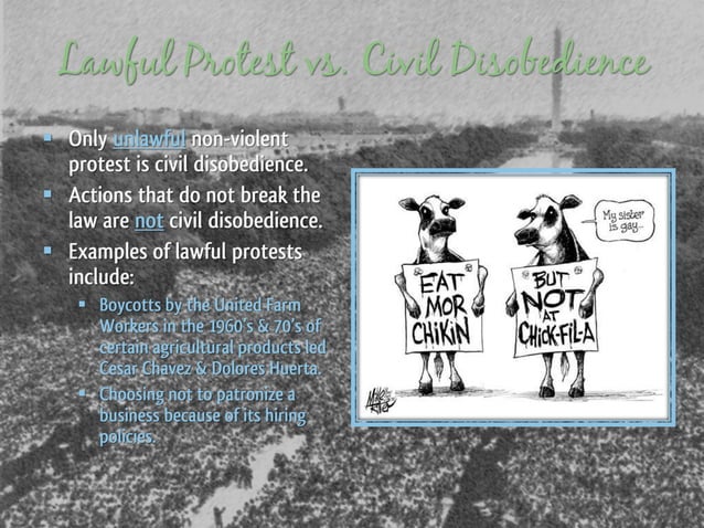 Hum2250 civil disobedience & civil rights movement political action for ...
