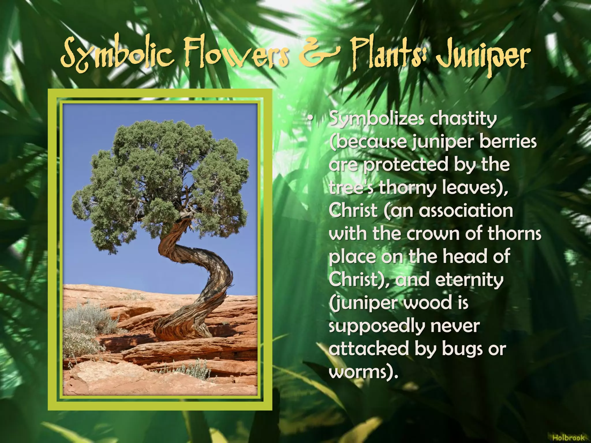 Mythological Meanings Unmasked: Decoding The Symbolism of Myth | PPT