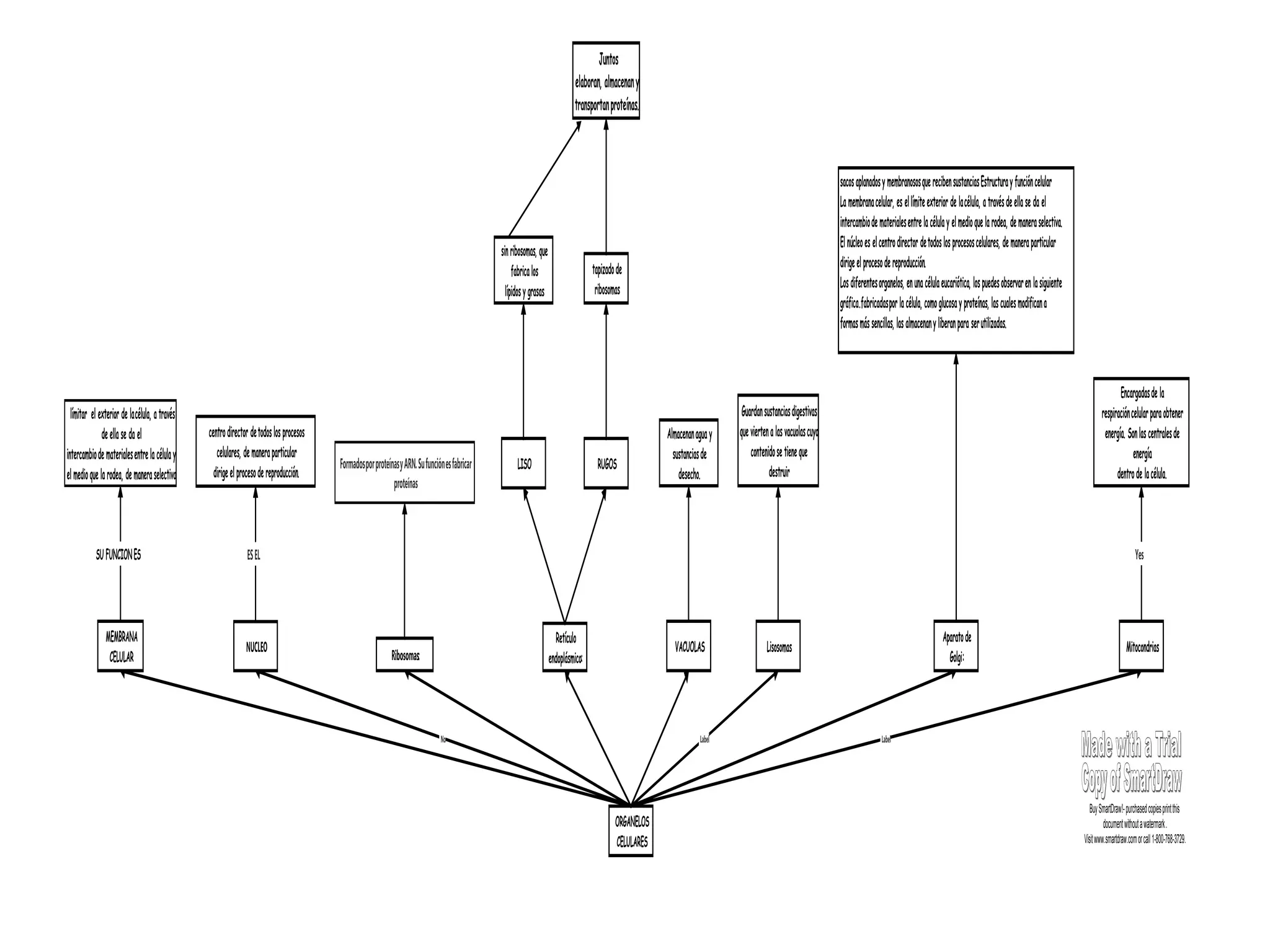 MAPAS CONCEPTUALES | PPTX