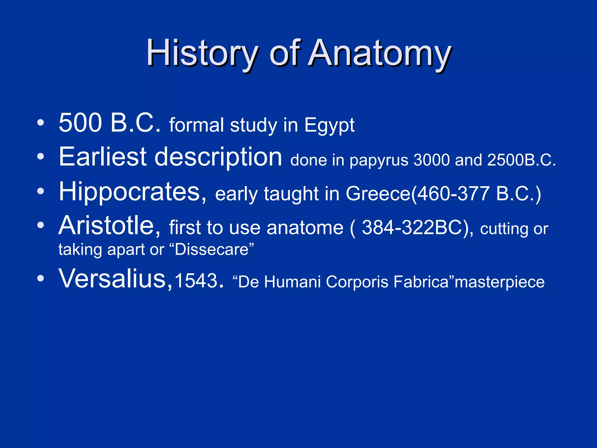 Human anatomy | PPT | Free Download