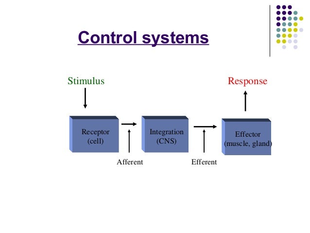 Serge Francois | Human anatomy and physiology