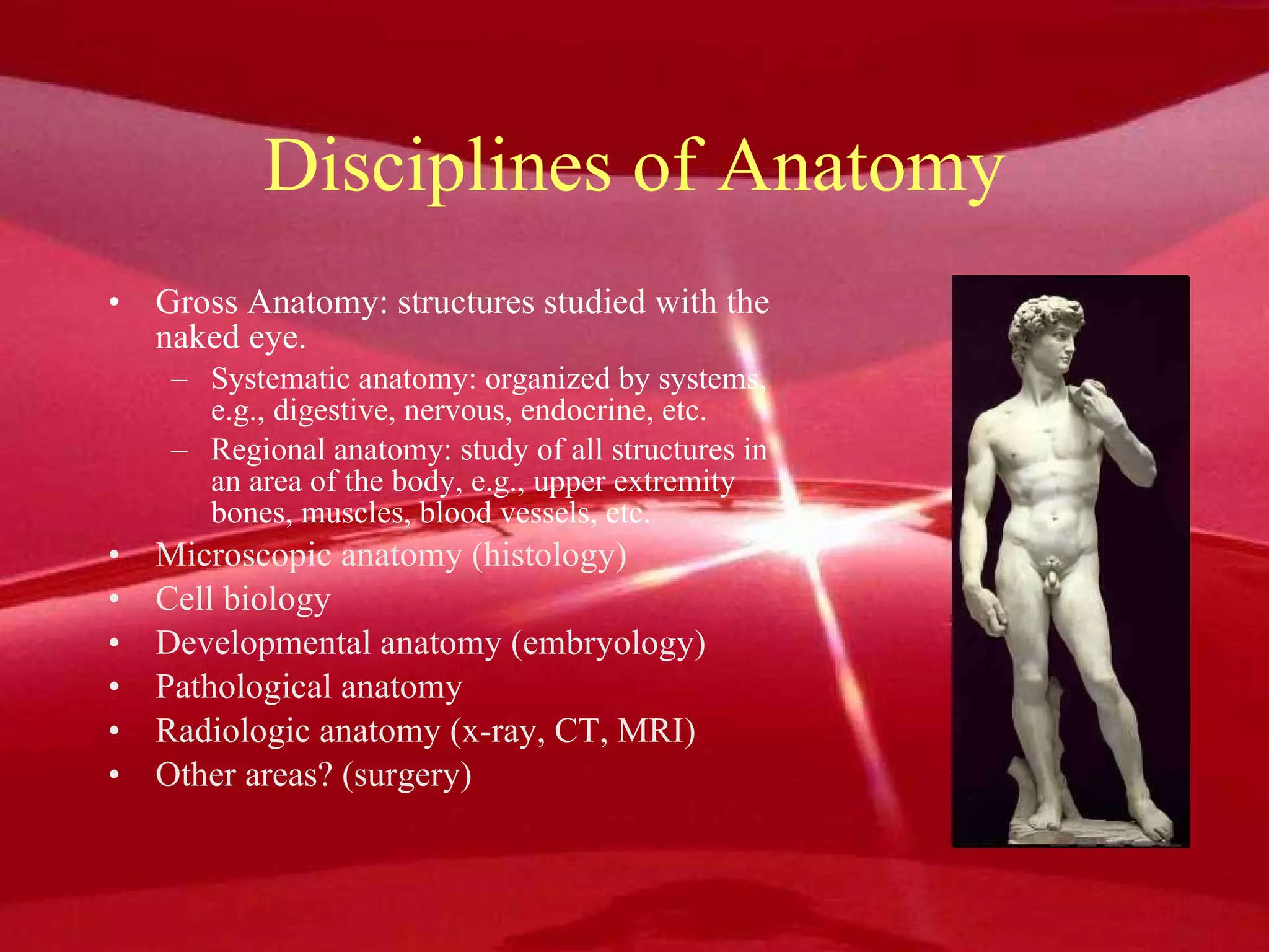 introduction of Human anatomy | PDF