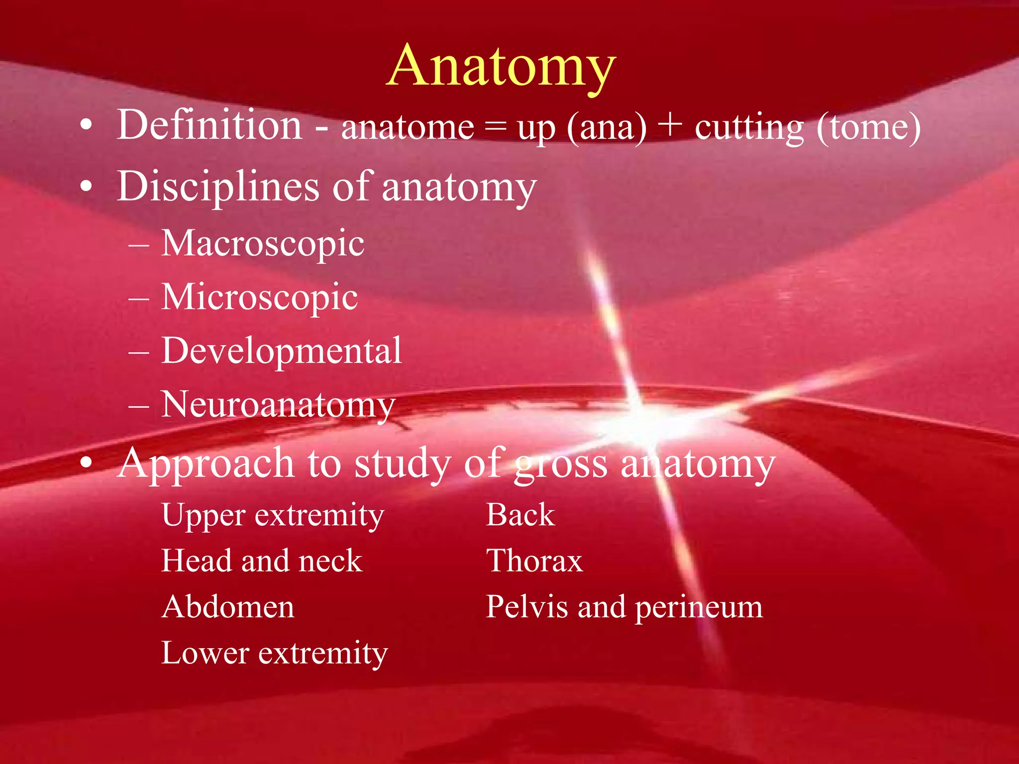 Human anatomy 101 | PPT