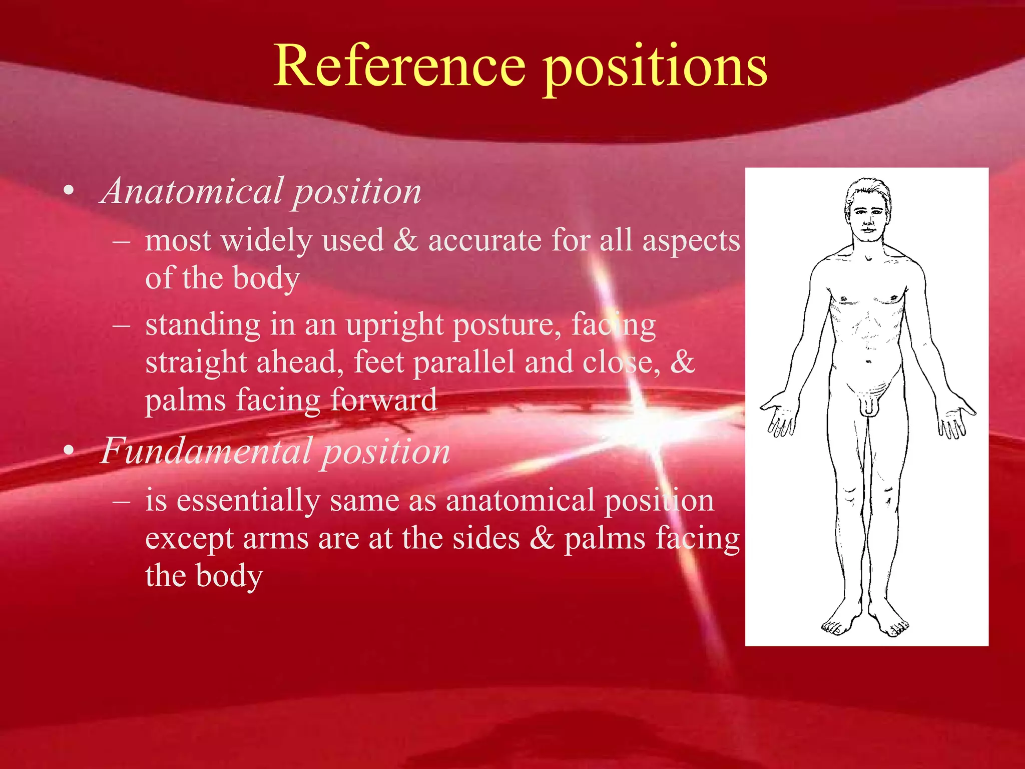 Human anatomy 101 | PPT