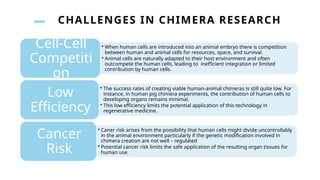 Human-Animal Chimera: Revolutionizing Medicine While Confronting ...