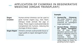 Human-Animal Chimera: Revolutionizing Medicine While Confronting ...