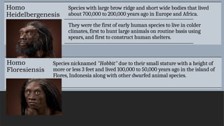 Human-Biocultural-and-Social-Evolution.pptx