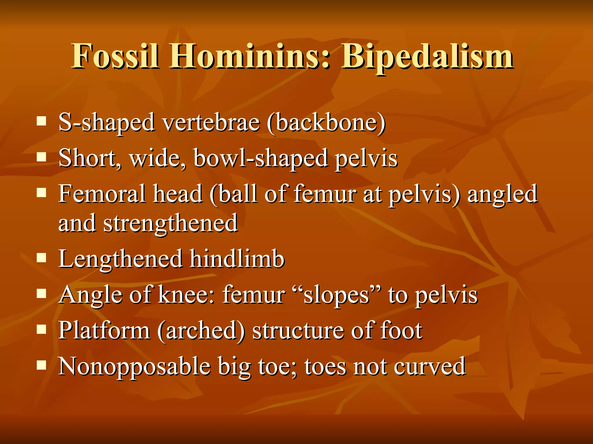 Human Biological and Cultural Evolution. | PPT