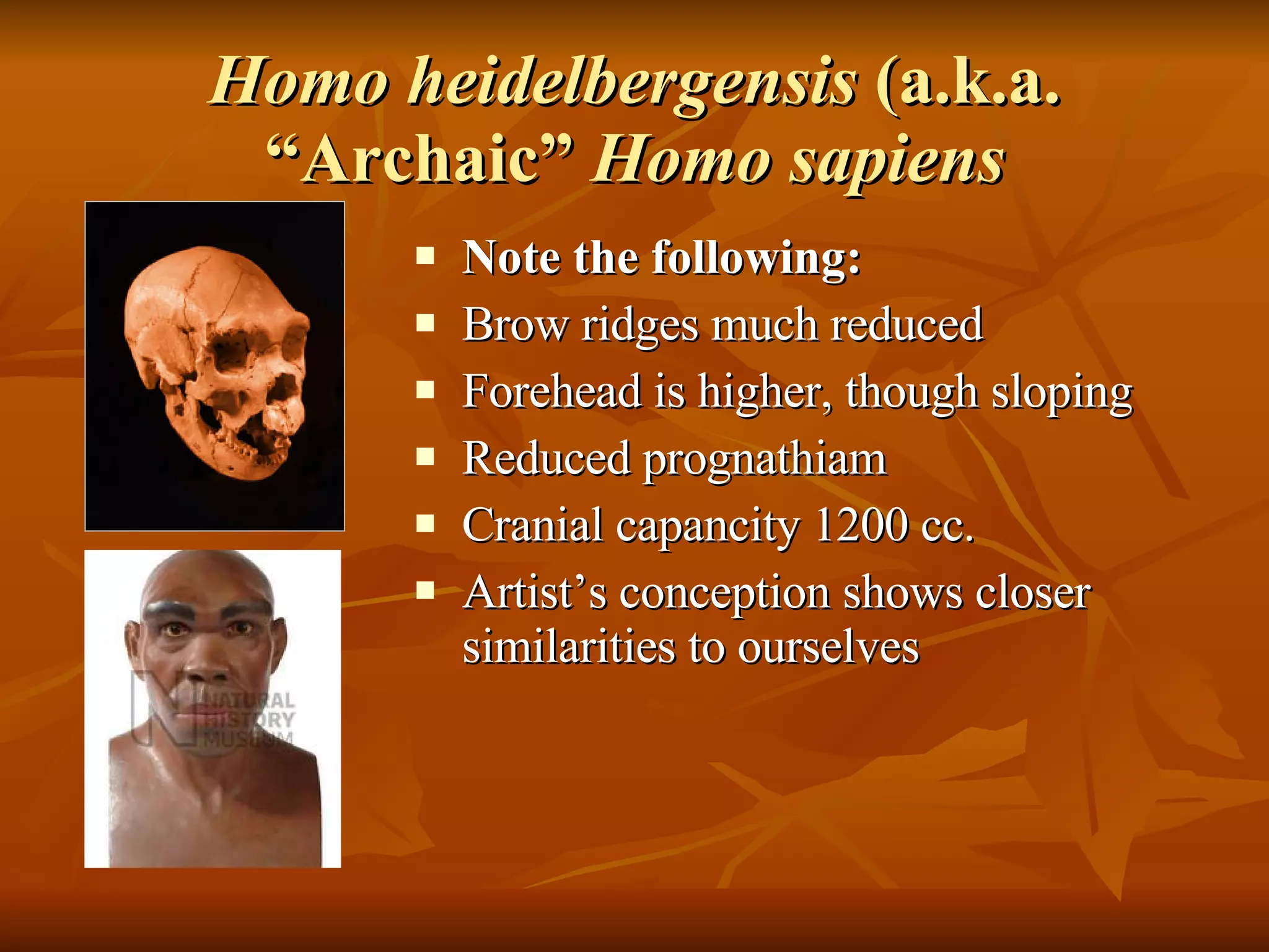 Human Biological and Cultural Evolution. | PPT