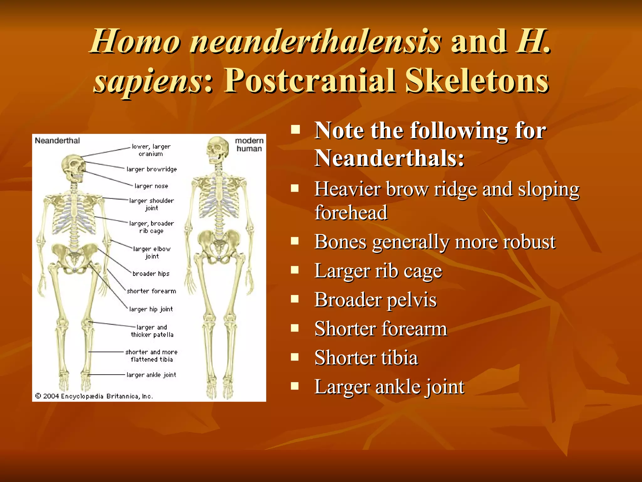 Human Biological and Cultural Evolution. | PPT