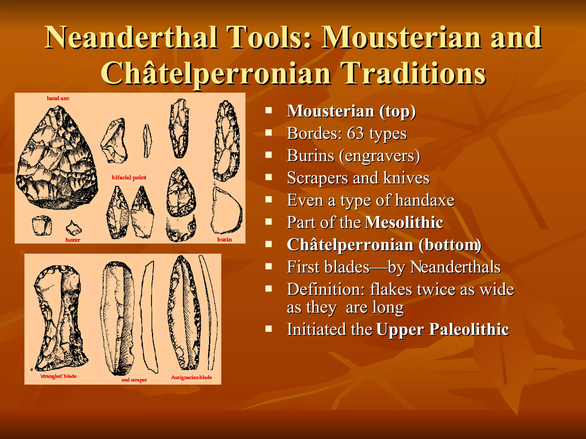 Human Biological and Cultural Evolution. | PPT