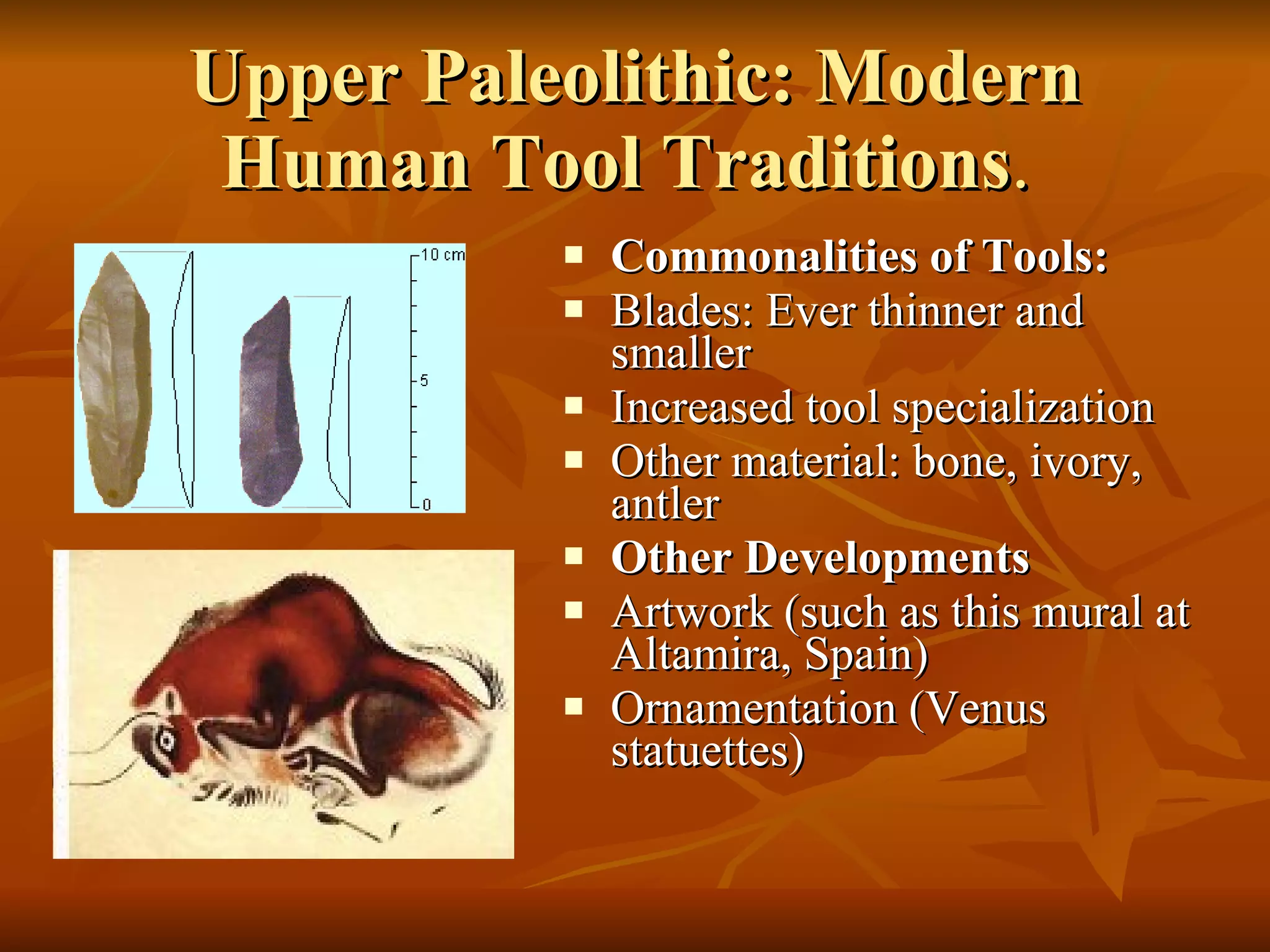 Human Biological and Cultural Evolution. | PPT